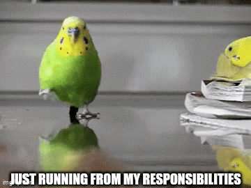 Running away from my responsibilities - Imgflip