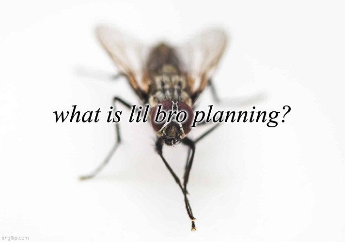 Here's mine - Imgflip