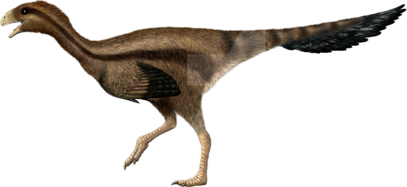 Kol Blank Template - Imgflip