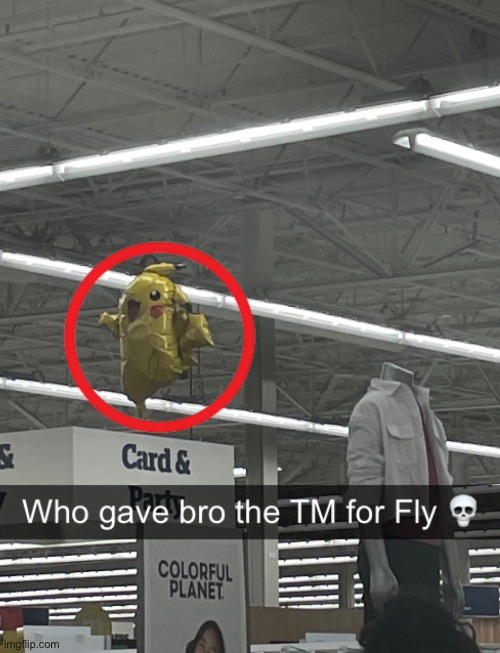 Who gave bro the tm for fly - Imgflip