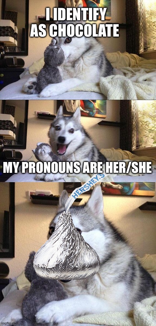 Bad Pun Dog Meme - Imgflip