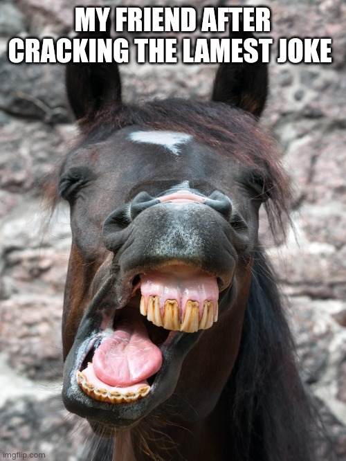 Lame joke - Imgflip