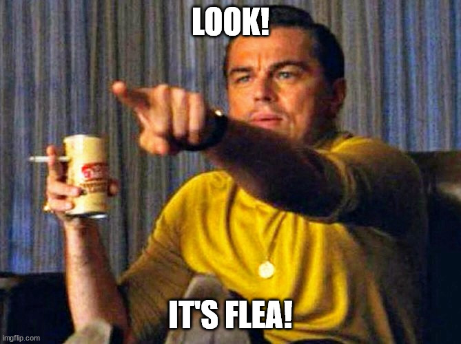 Leonardo Dicaprio pointing at tv - Imgflip