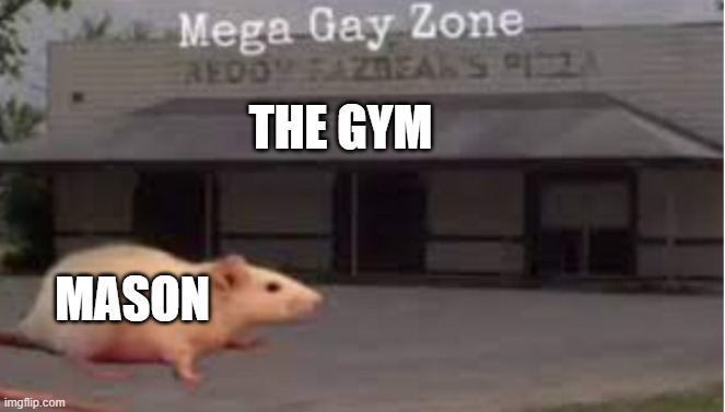 Mega gay zone - Imgflip