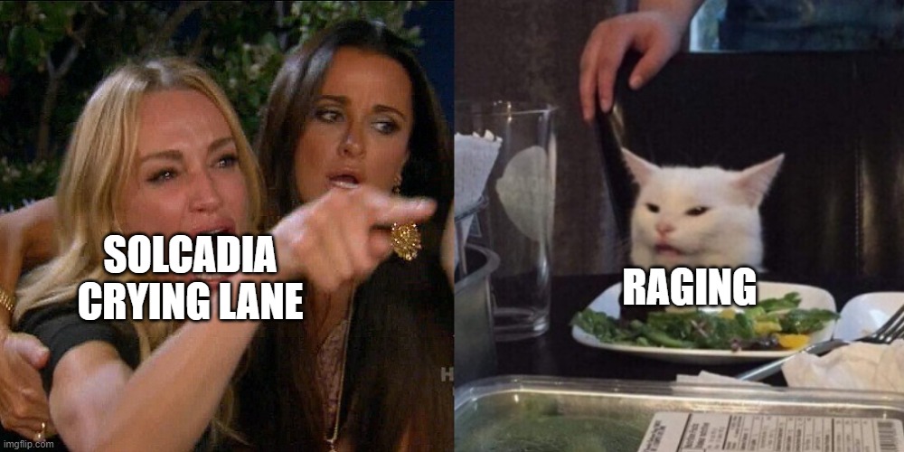 Woman yelling at cat - Imgflip