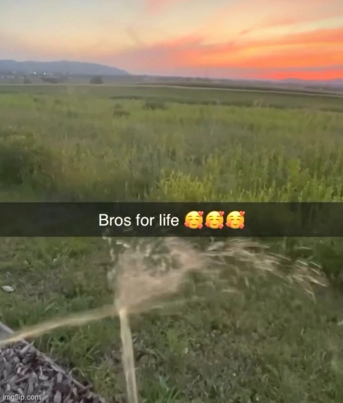 Send this to bro on insta and he said fr - Imgflip