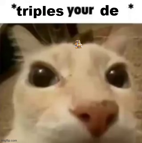 X your balls - Imgflip