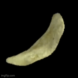 spinning chip - Imgflip