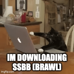 Typing kitty - Imgflip