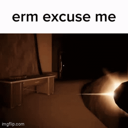 erm excuse me - Imgflip