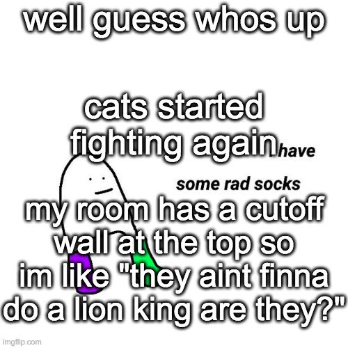 rad socks but your life isnt falling apart - Imgflip