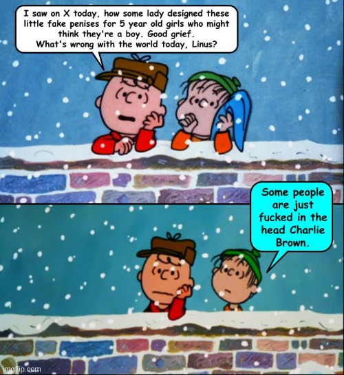 Linus nailed it - Imgflip