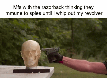 The razorback should be a hidden addition, it would actually be useful ...