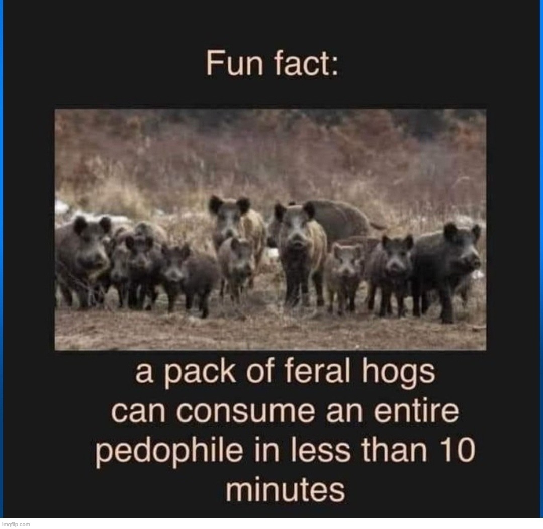 Fun Facts About Feral Hogs & Pedophiles - Imgflip