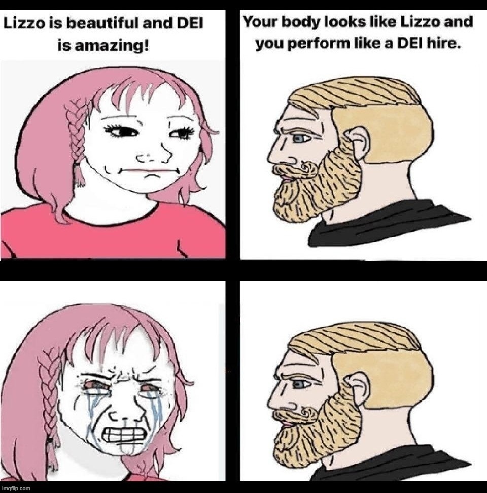 About Lizzo & DEI Hires - Imgflip