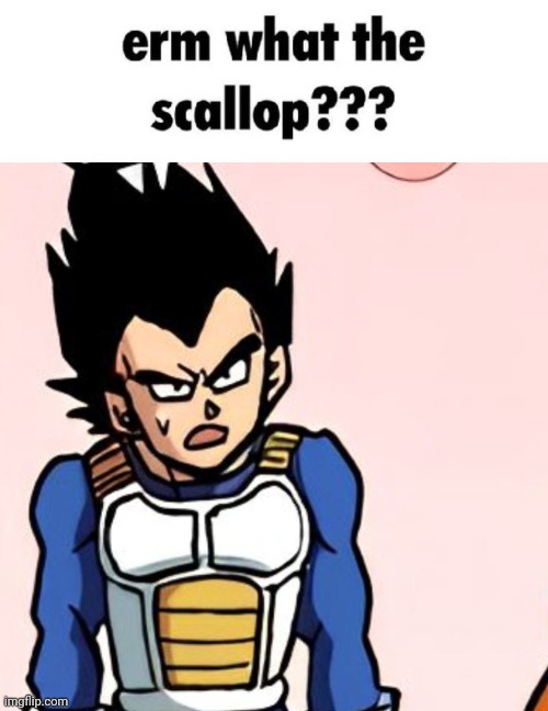 Image tagged in erm what the scallop - Imgflip