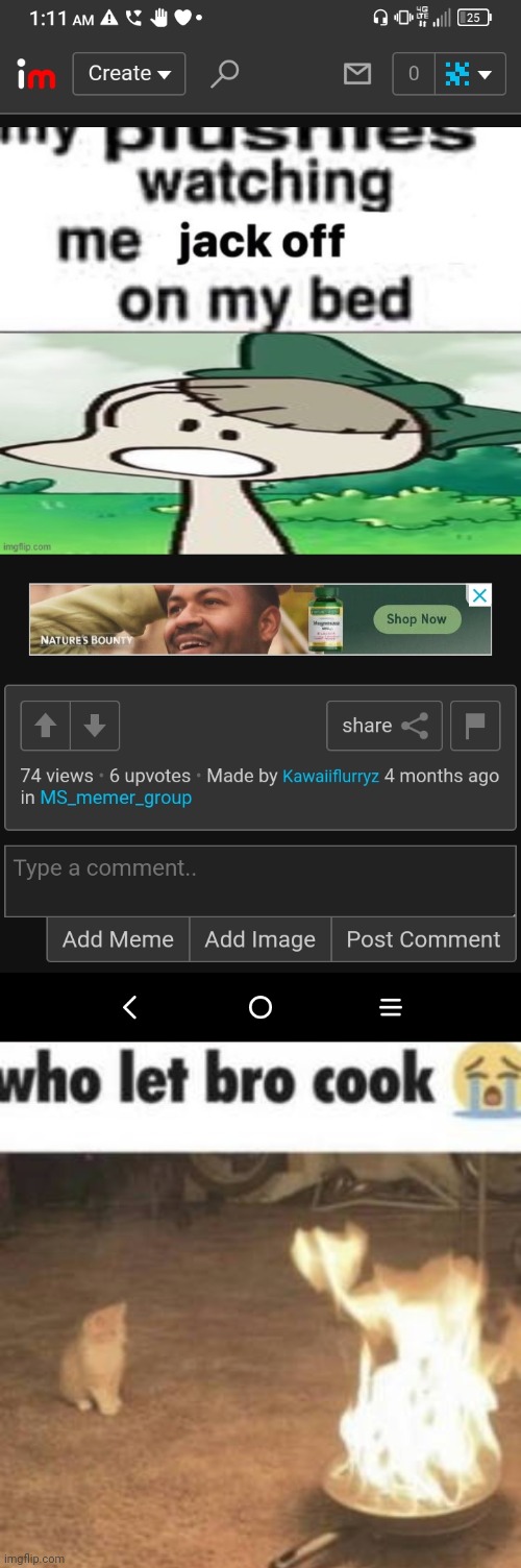 Image tagged in who let bro cook - Imgflip