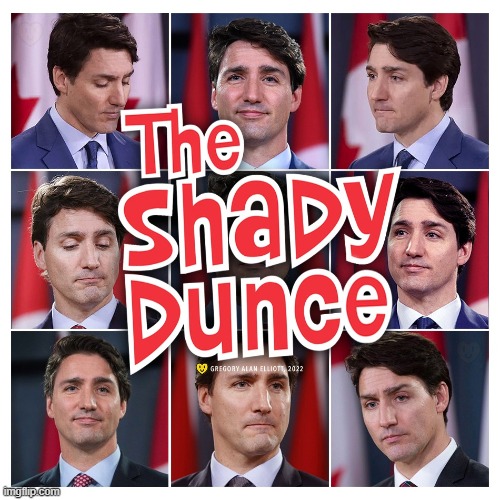 Canadian political memes *Language warning* - Castanet