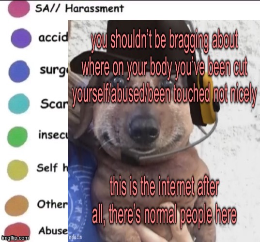 sorry for bad grammar, english is my first language - Imgflip