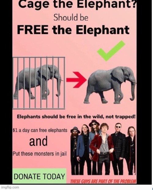 Image tagged in cage th elephant - Imgflip