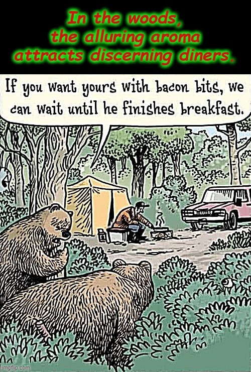 Bear breakfast ! - Imgflip