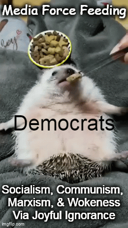 Leftists, Lapping Up The Lunacy - Imgflip