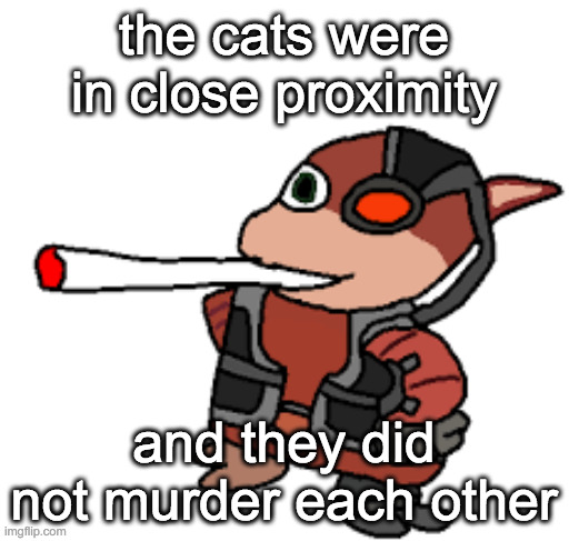 how come the nice one doesnt like me but the one who scratches people does - Imgflip