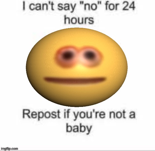 I cant say no for 24 hours - Imgflip