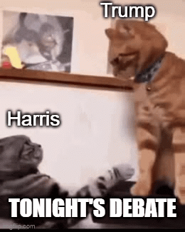 My Debate Predictions - Imgflip
