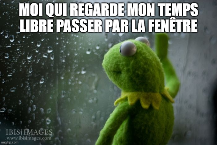 kermit window - Imgflip