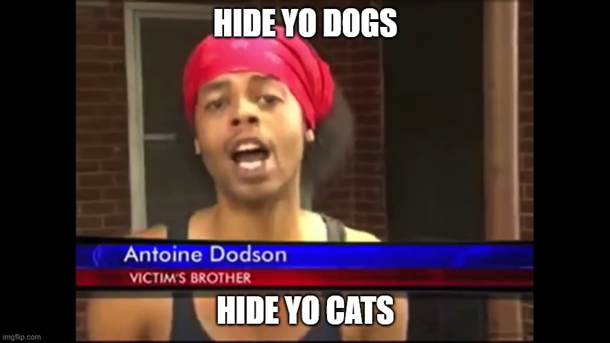 Hide ya kids, hide ya wife - Imgflip