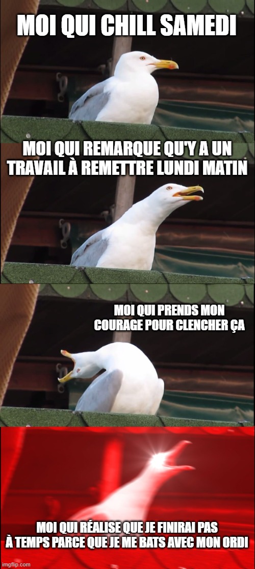 Inhaling Seagull Meme - Imgflip