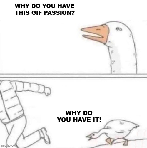 Goose Chase - Imgflip