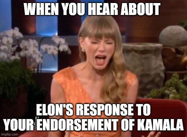 Taylor Swift Mad - Imgflip