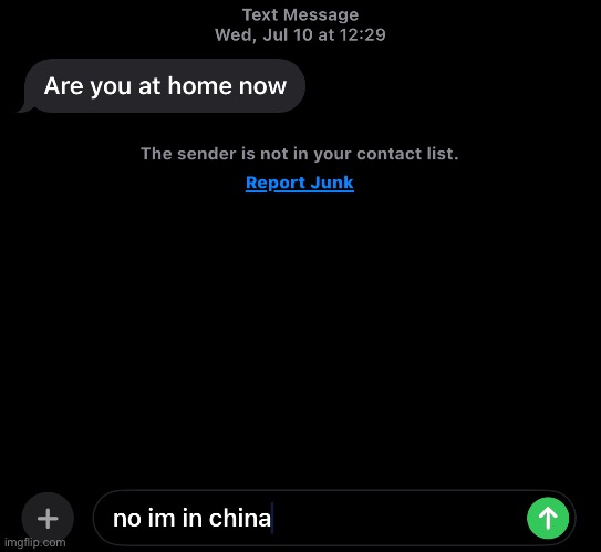 chat should i send it (i forgot that i even had this message in there ...