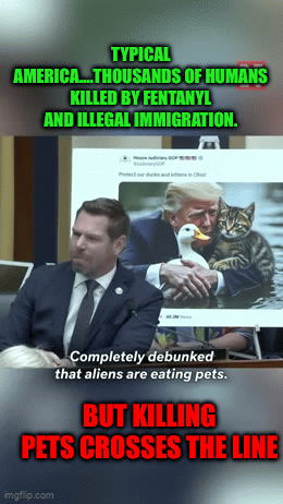 People dying is bad, killing pets is worse - Imgflip