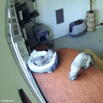 He Wanted What Ever Was Underneath That Bed ! - Imgflip