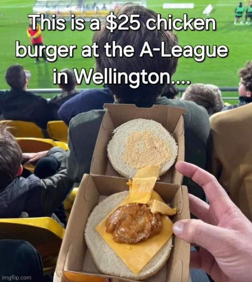 Game Day - Toxic Toby's Orange Plastic Gnats coached by a Dimma ...