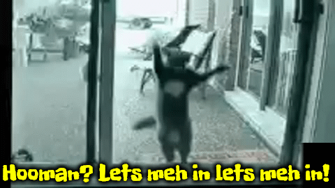 Lets Meh In - Imgflip