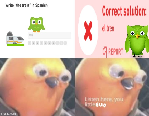 maybe i'm just stupid - Imgflip