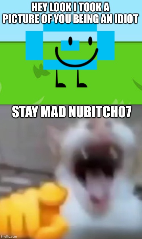 Image tagged in nubitch being an idiot,cat pointing and laughing - Imgflip