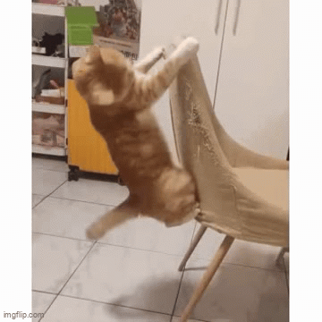 Must ... Break ... Chair ! - Imgflip