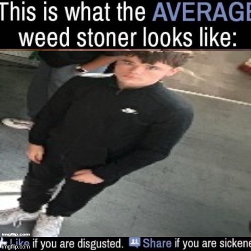 what the AVERAGE weed stoner looks like (add your own image) - Imgflip