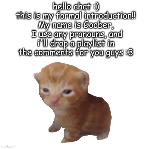 insert clever title here - Imgflip