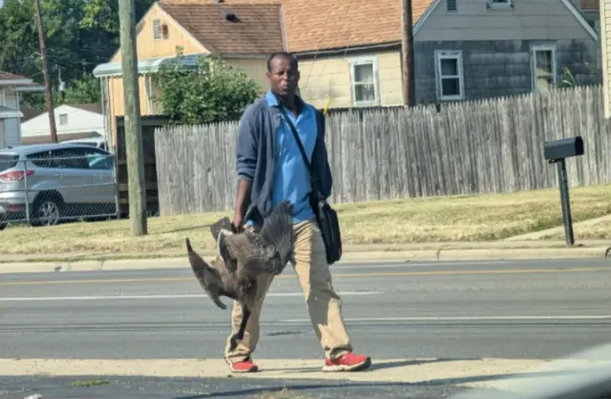 Haitian Immigrant with Goose Blank Template - Imgflip