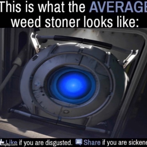 what the AVERAGE weed stoner looks like (add your own image) - Imgflip