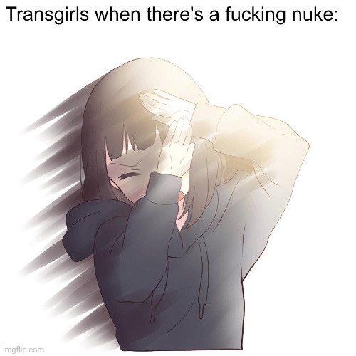 As a transgirl, I can confirm - Imgflip