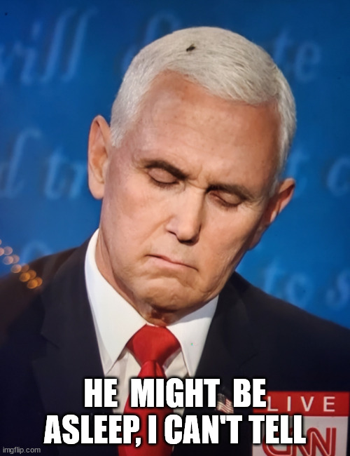 Mike Pence fly on head - Imgflip