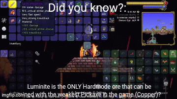 Terraria fun fact! - Imgflip