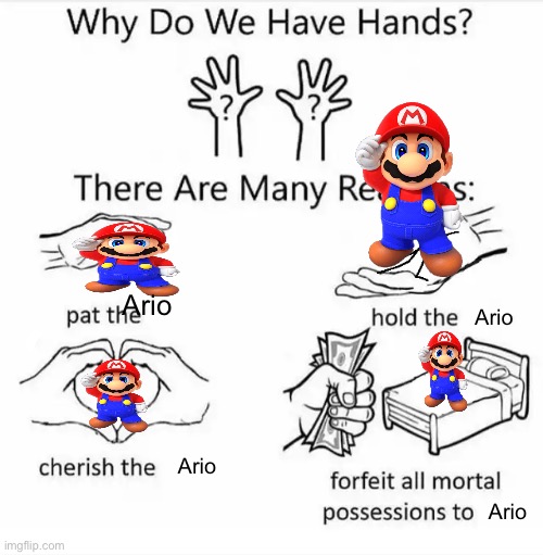 Why do we have hands? (all blank) - Imgflip